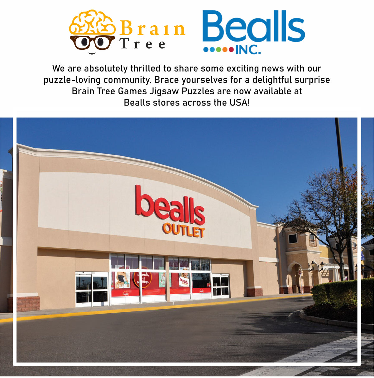 "Discover Brain Tree Games Jigsaw Puzzles at Bealls Stores: Creativity ...