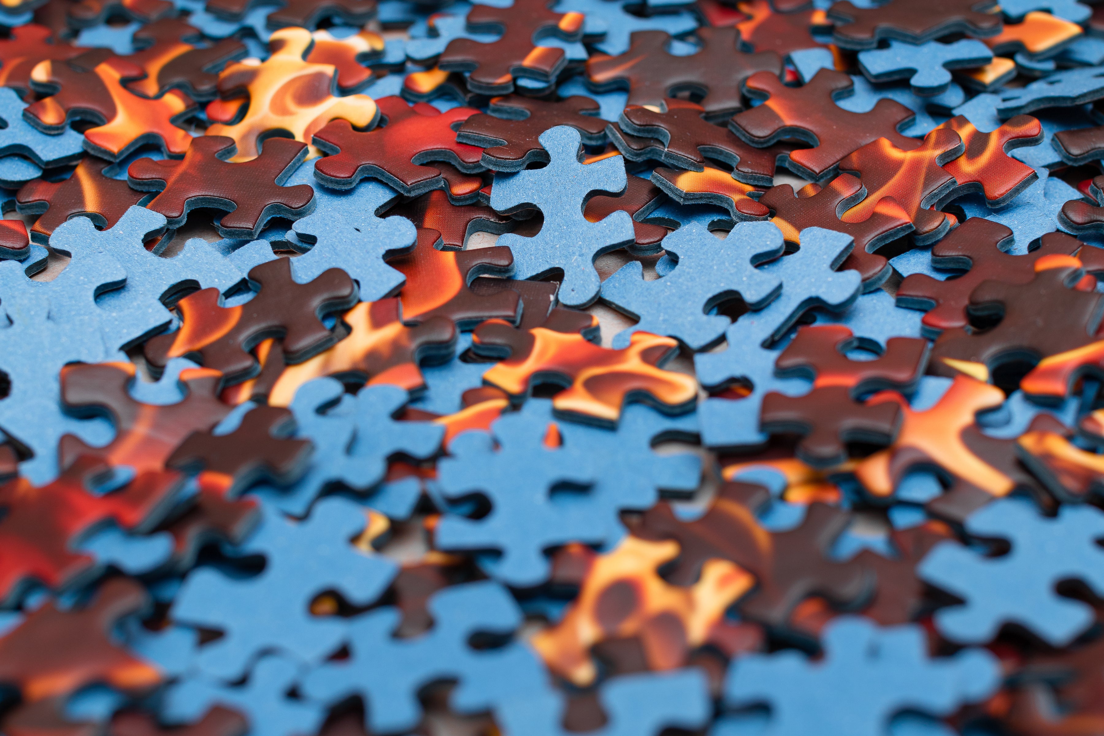 Why Jigsaw Puzzles are Good for You - Brain Tree Puzzle