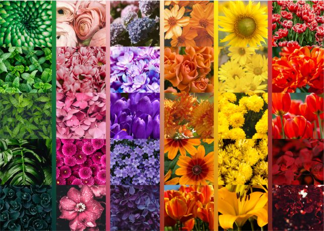 1000 Pieces Flower Grid Jigsaw Puzzles, Buy Flower Grid Puzzle ...